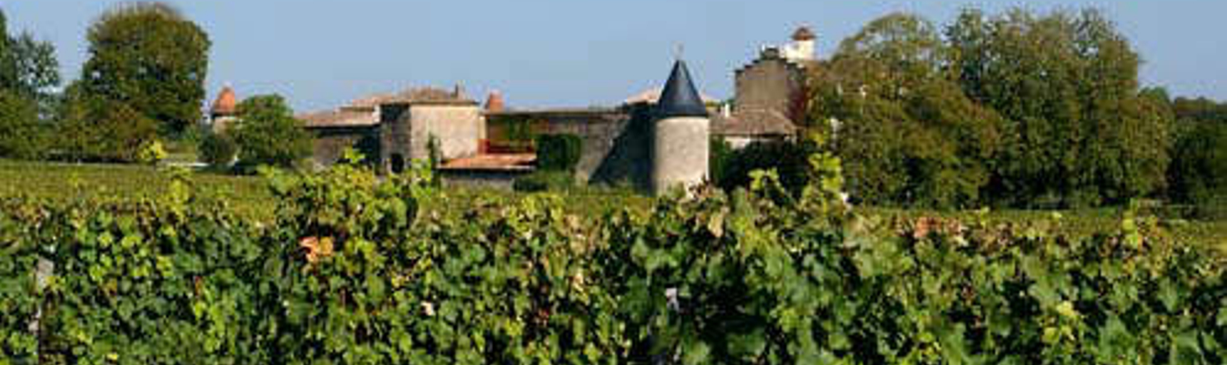 Château Faugas | Vins Blancs de Bordeaux