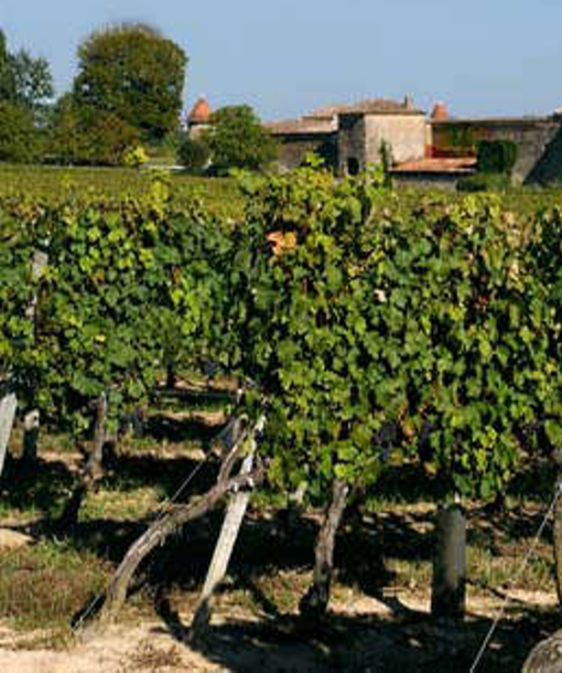 Château Faugas | Vins Blancs de Bordeaux